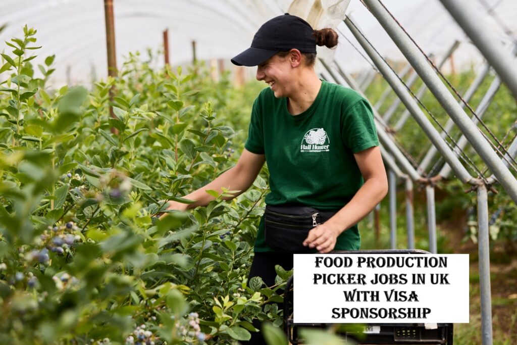 Food Production Picker Jobs in UK with Visa Sponsorship » 1